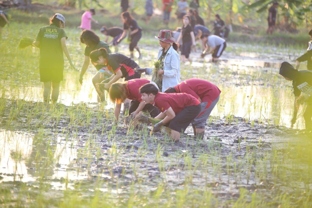 Eliminate inorganic waste to reduce the amount of inorganic waste – VRU ...